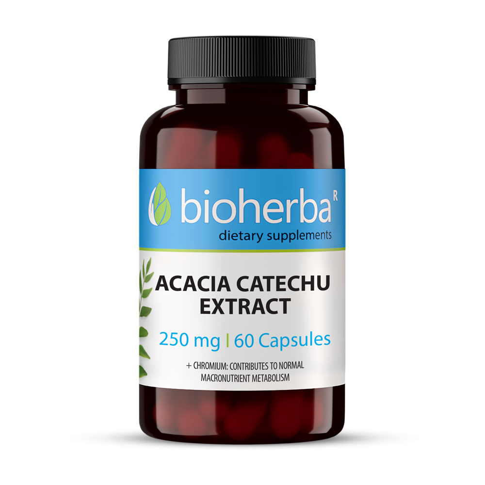 Acacia Catechu Extract, 250 mg, 60 Capsules, Bioherba - Global Health ...