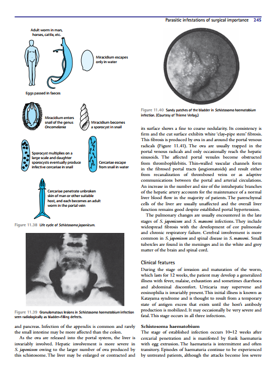 Essential Surgical Practice Higher Surgical Training in General Surgery ...