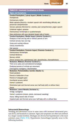 Harrison’s Manual Of Medicine - Global Health Treasures
